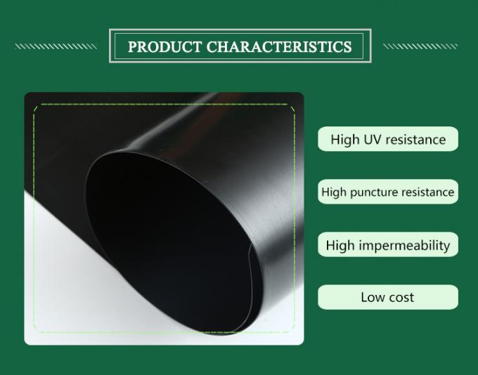 High Density Polyethylene Geomembrana Hdpe 30 Mils Liner UV Resistance