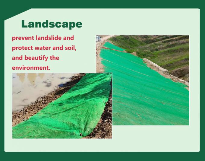 Auxiliary Engineering Reinforced 3D Geomat Geonet material